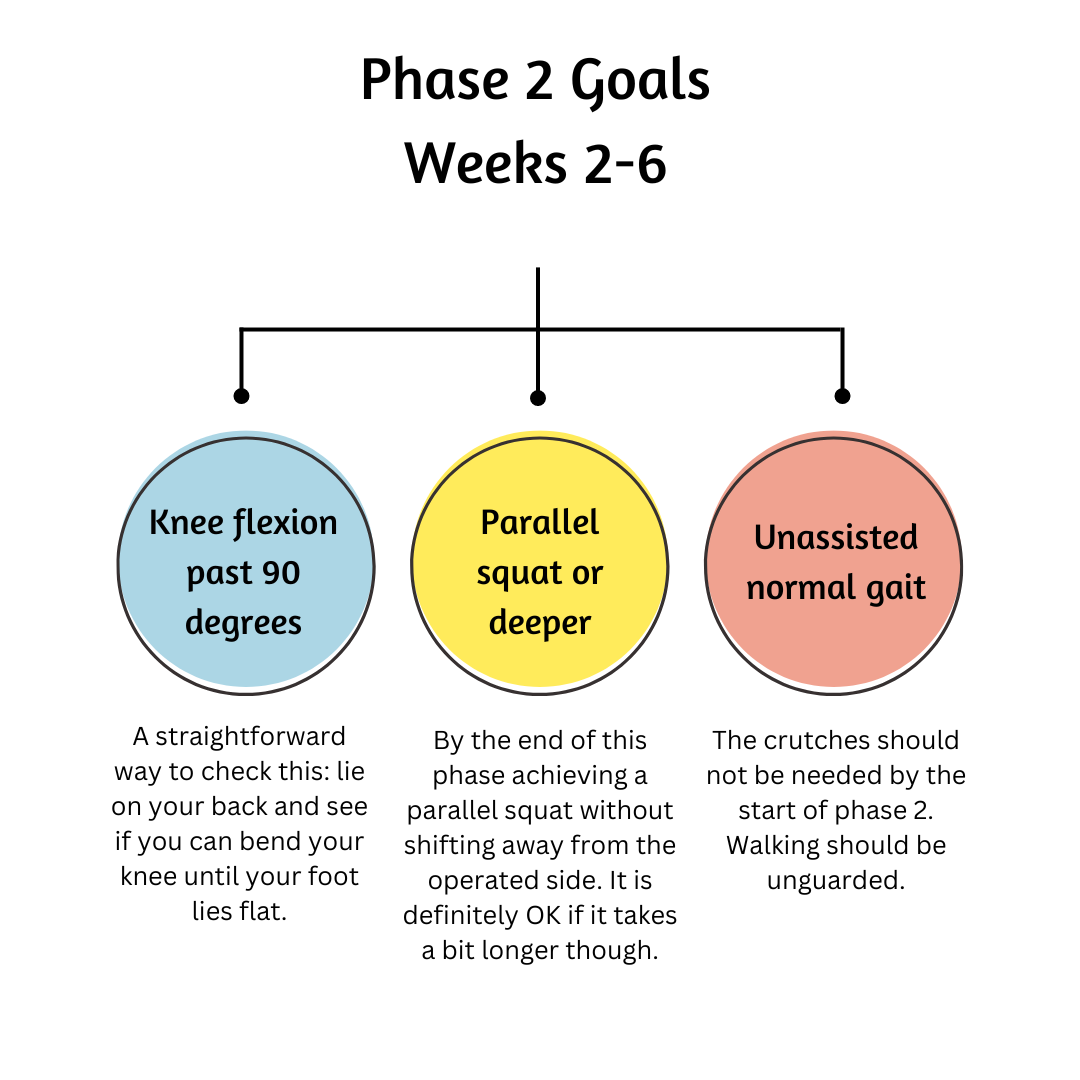 (Post-Operative) ACL Rehabilitation Programme